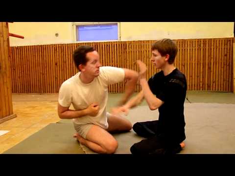 Tao Defence in a lap - Taiji