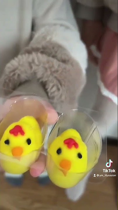 Peep mallow ピープマロー🐥🐥🐥🐥かわいいひよこのマシュマロ🍒🍋りりしおチャンネルlilysa sion channel - YouTube