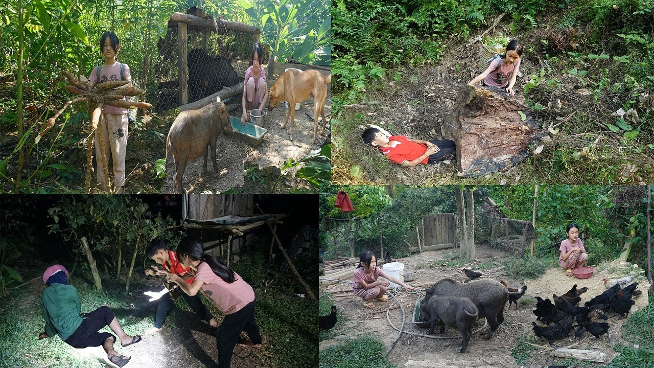 Full video about an orphan girl living alone in the forest, making a ...