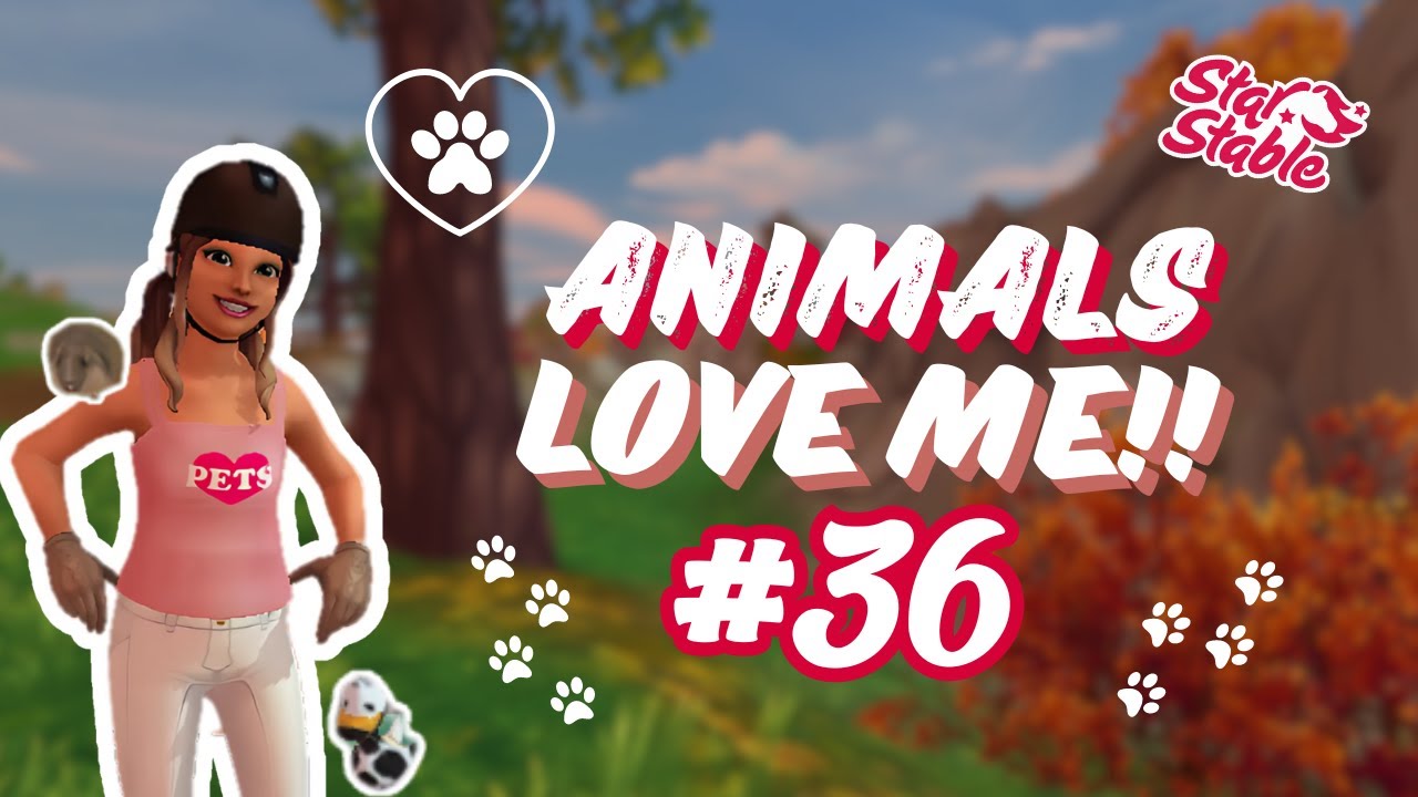 Animals love me! Doing multiple pet related quests - Star Stable ...