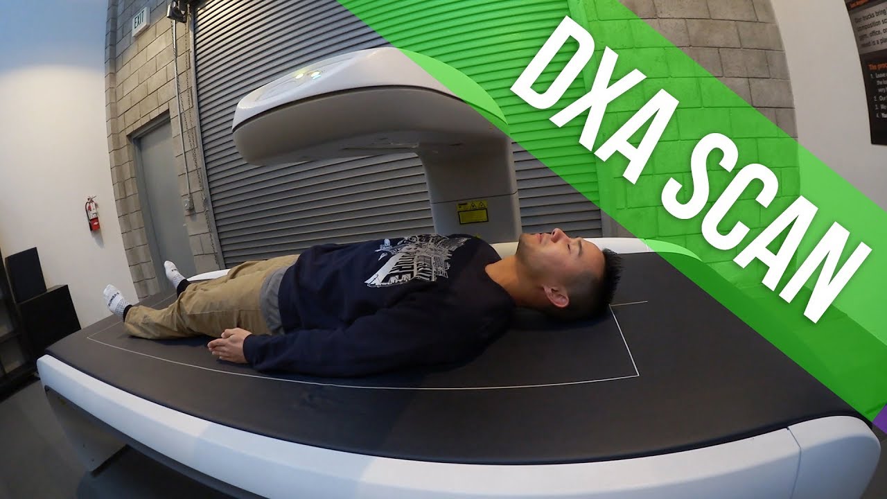 My Fat, Muscle & Bone Density Report At Body Spec | DXA SCAN - YouTube