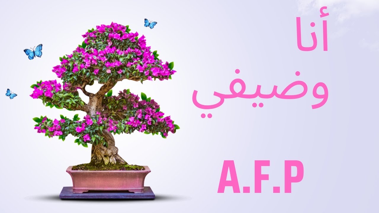 تحليل (A.F.P) Alpha Feto Protein وعلاقته بالحمل لكشف العيوب الخلقية ...