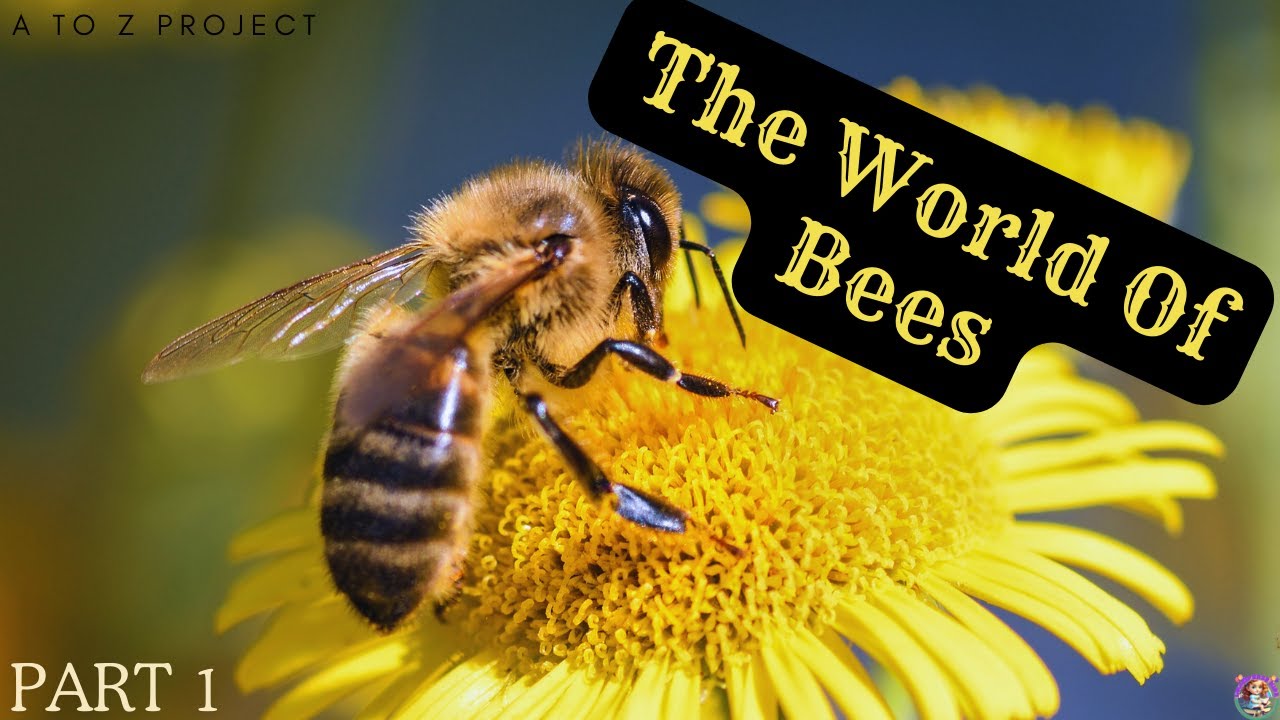 🌼 Explore the world of bees: a bustling journey /The World Of Bees/#bees/#nature/ #pollinators🐝🥀 ...