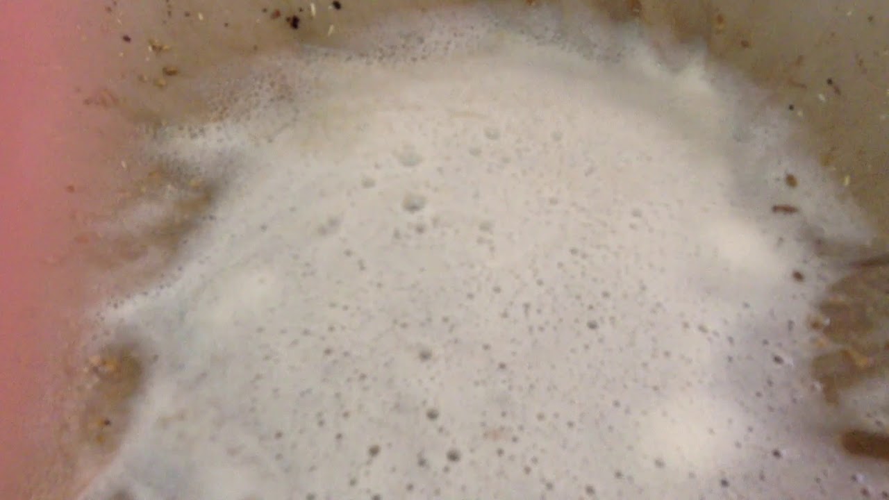 Fat Tire Clone - Grain to Glass - YouTube