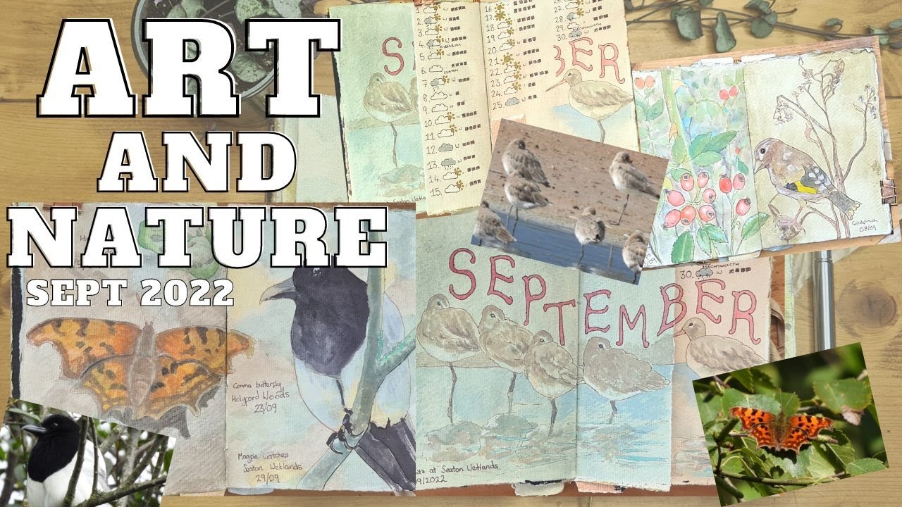 Nature Art Speedpaint: September 2022 in my Nature Journal - YouTube