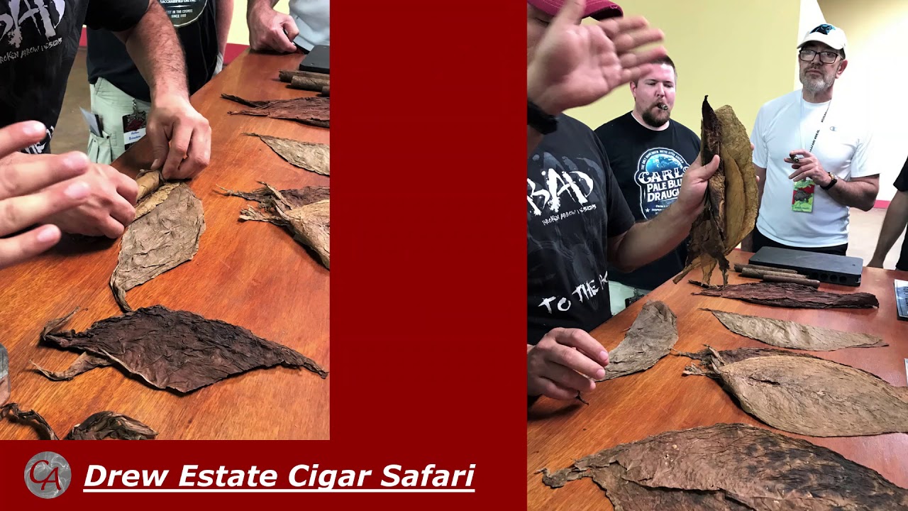 Drew Estate Cigar Safari 2017 Day 1 & 2 Video Recap - YouTube