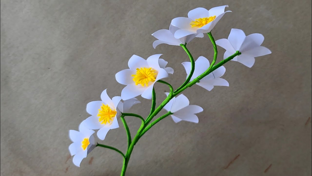 how to make white flowers /amazing flowers/diy craft/crafts/ Diy ...