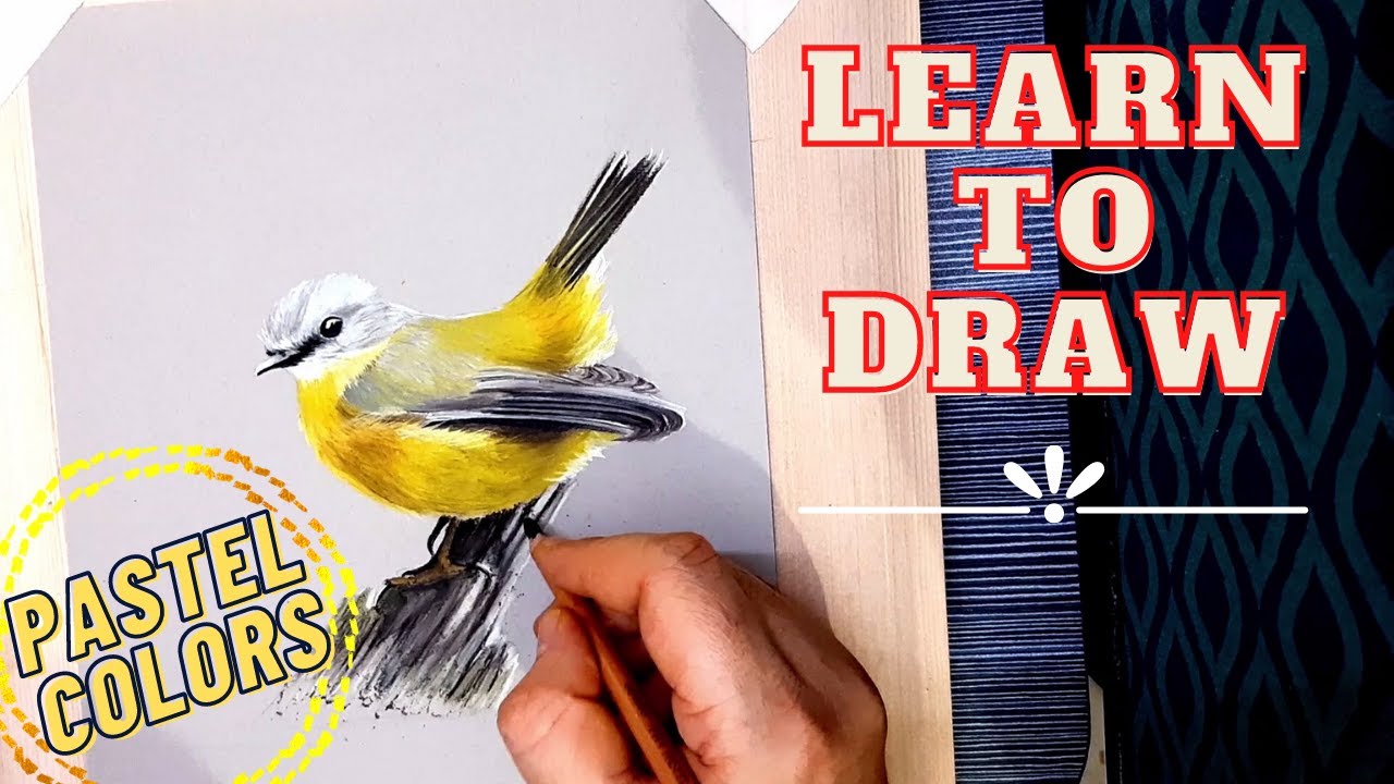 How to draw a realistic bird: A step by step guide - YouTube