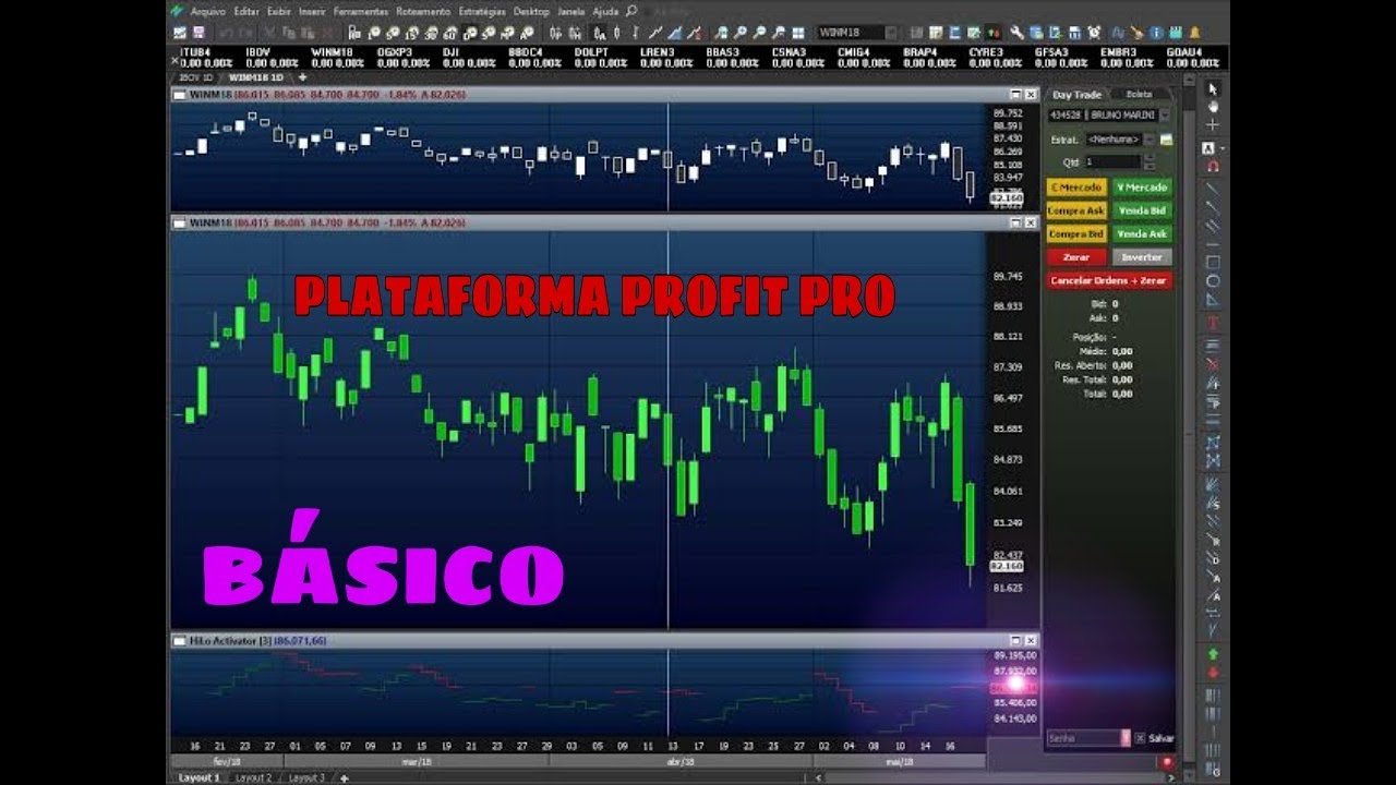 Plataforma ProfitPro Mostrando O Básico #ProfitPro - YouTube