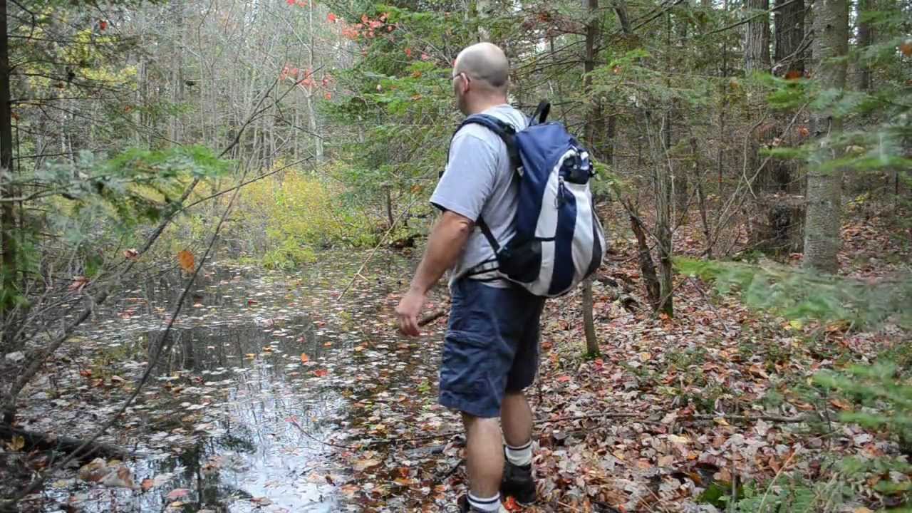 A la manière d'Apetor / Apetor's way - YouTube