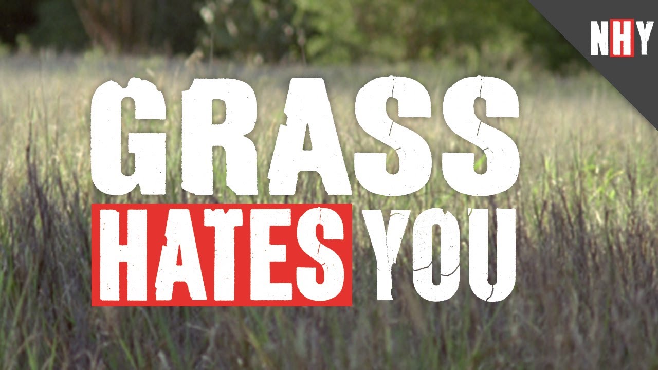 GRASS HATES YOU - YouTube