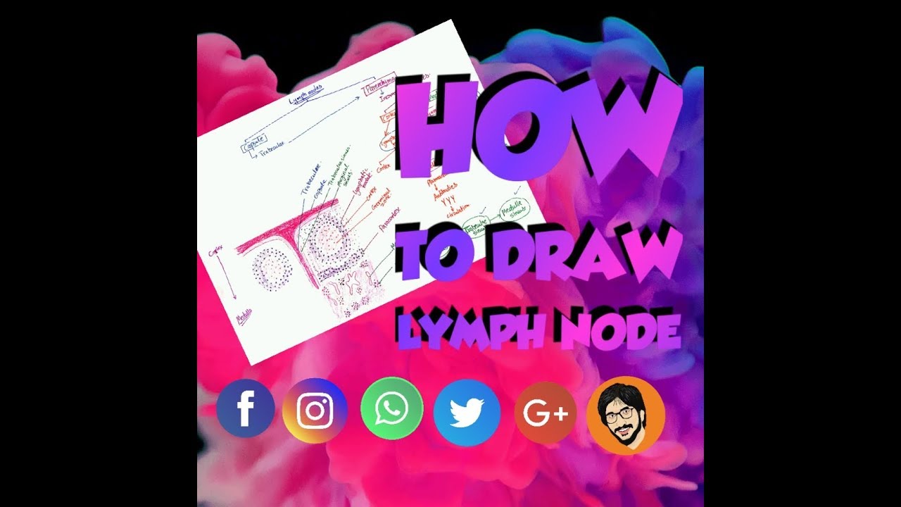 How to Draw Lymph Node Histology - YouTube