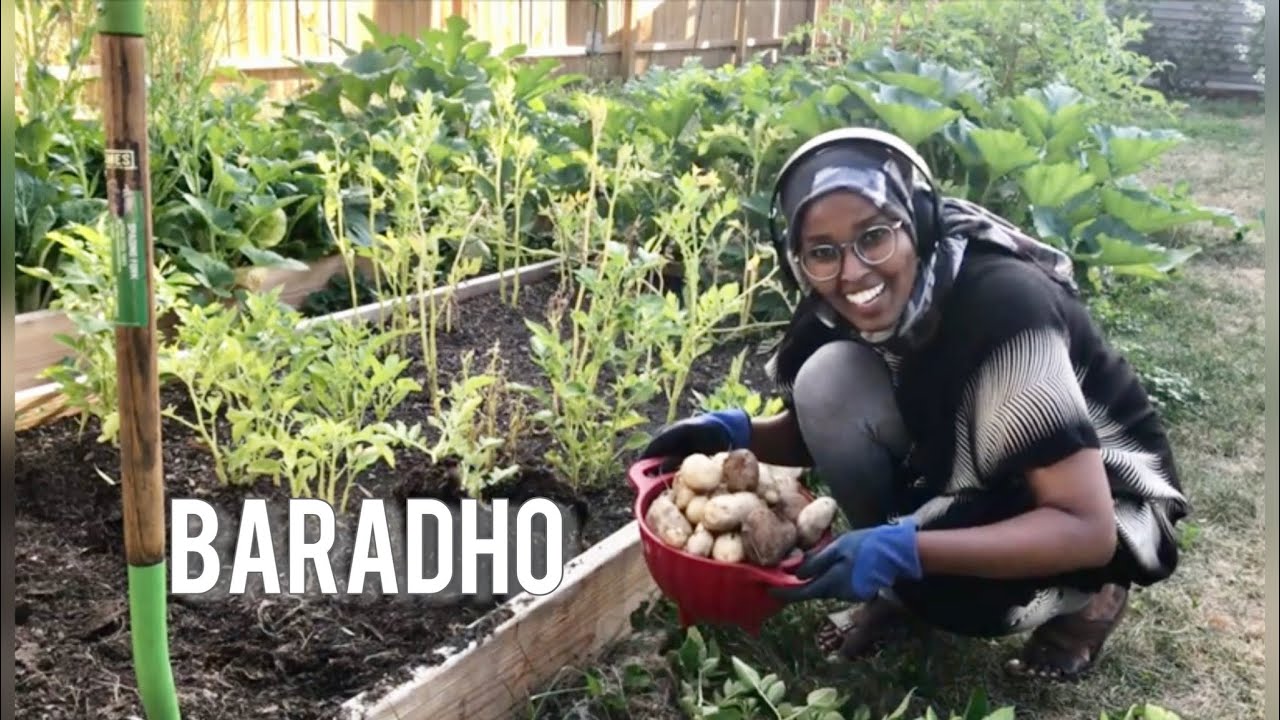 Sida aan Baradho Guriga ugu Beero #somali - YouTube