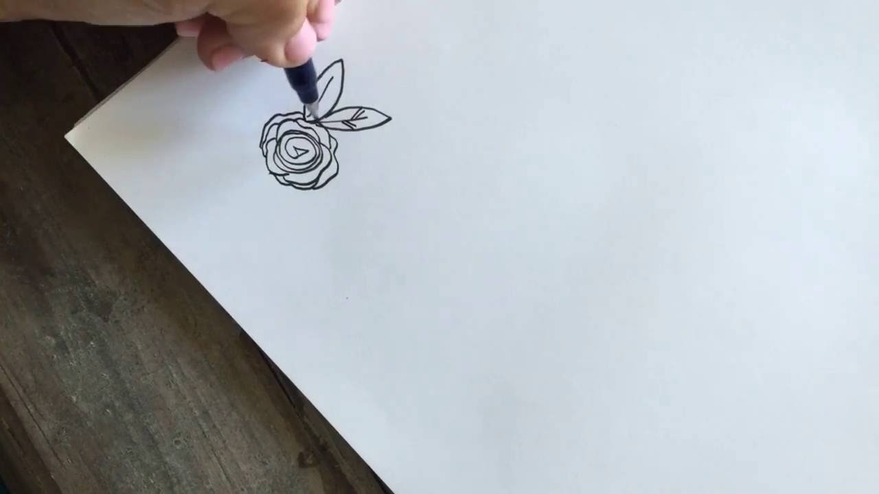 How to Draw an Open Rose - YouTube