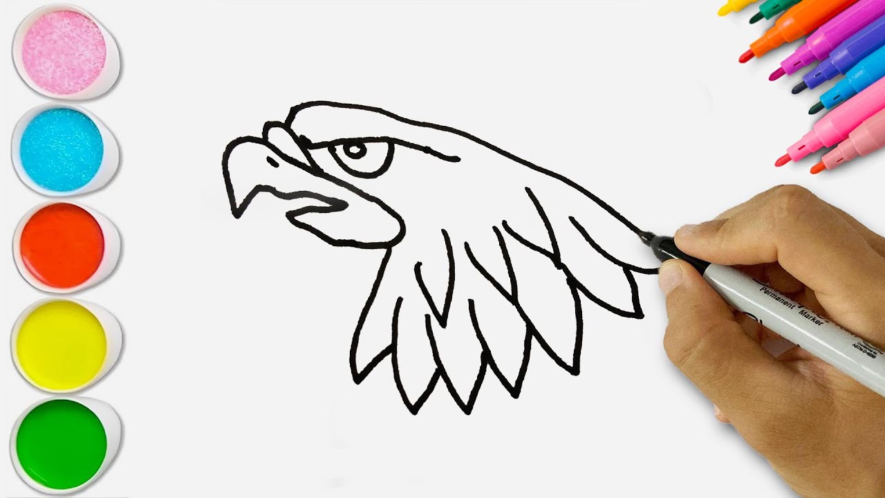 How to Draw a Falcon Very Easily? Step by Step Falcon Drawing - Easy ...