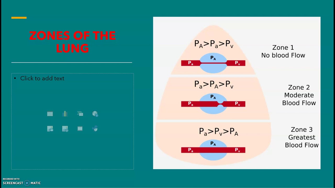 V/Q Mismatch - YouTube