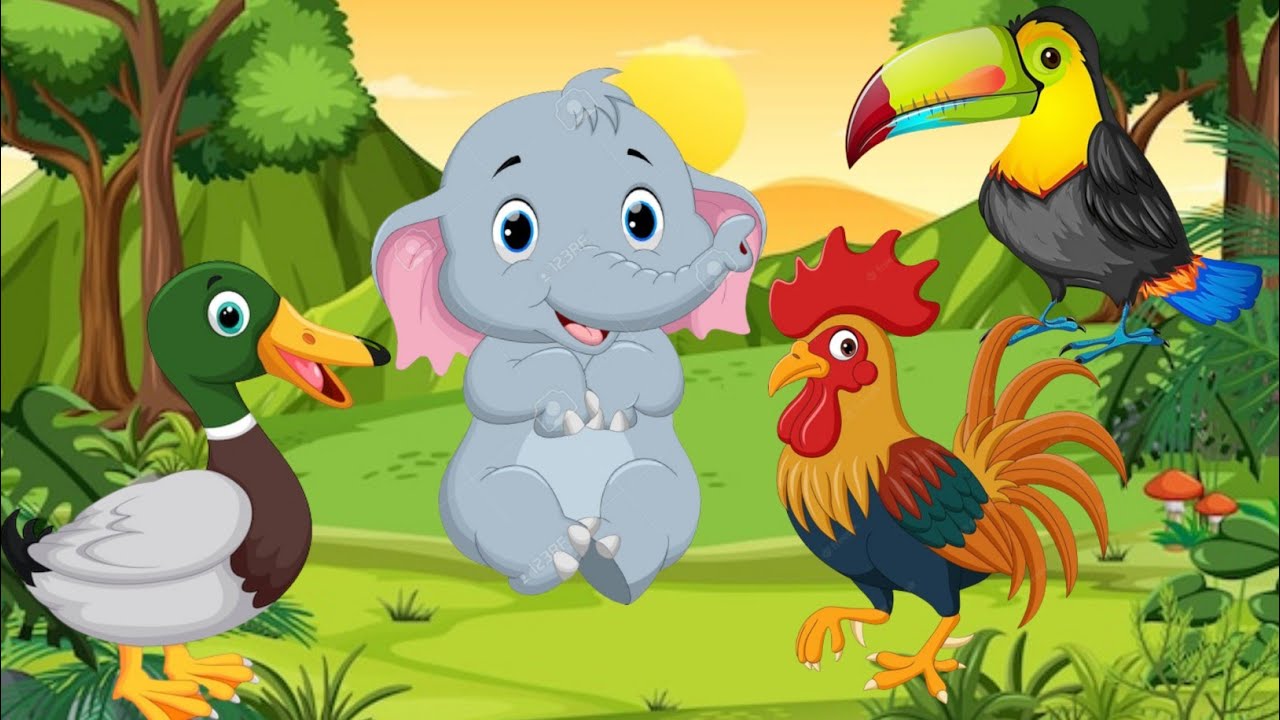 Funny Animal Moments, Animal Sounds In Wildlife: Elephant, Rooster ...