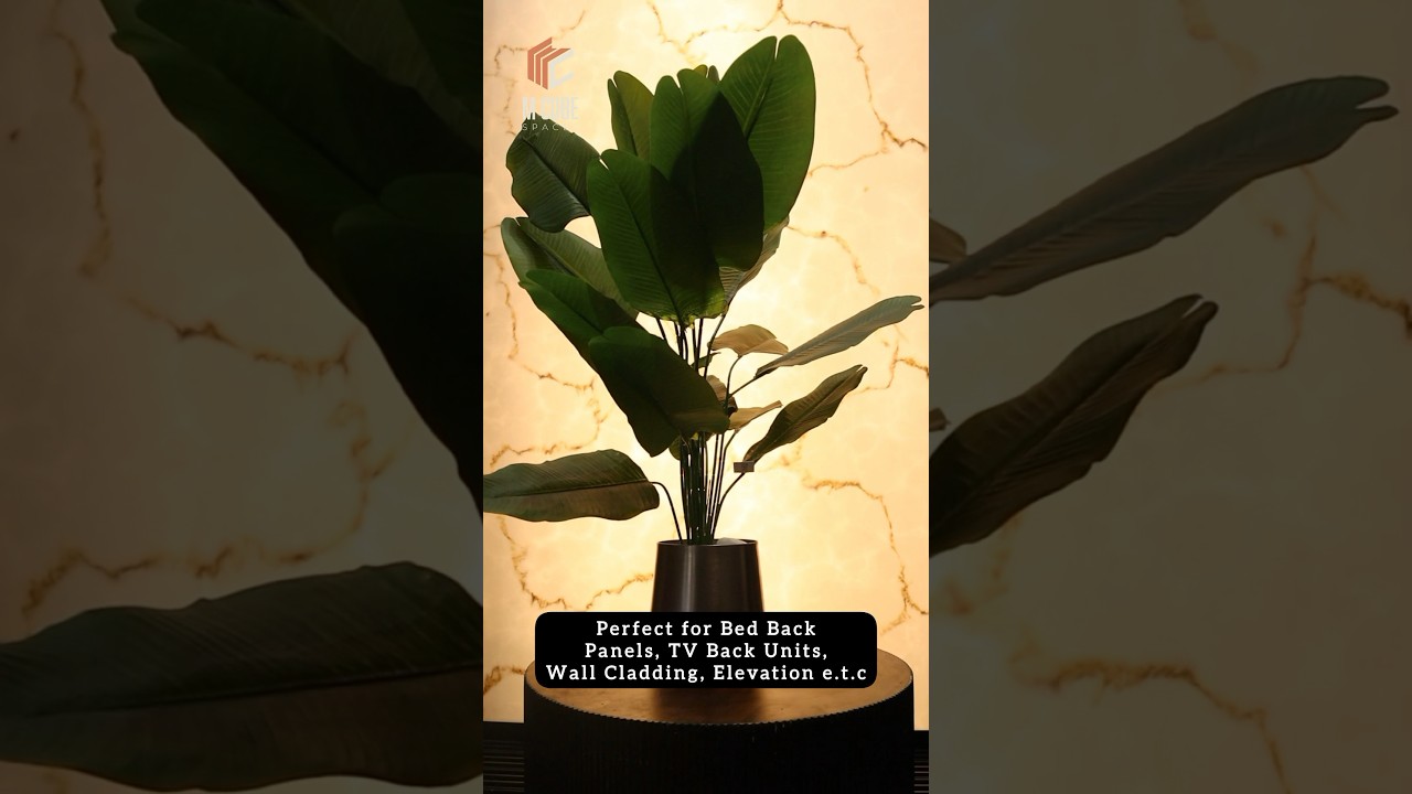 Light passing sheet | Alabaster | Stone Veneer | Highlighting products ...