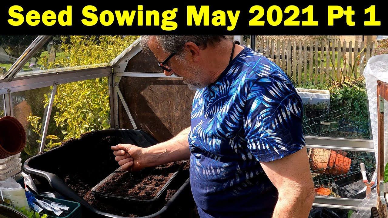Seeds to Sow in May | Seed Sowing in May | Vegetable Sowing | Allotment ...