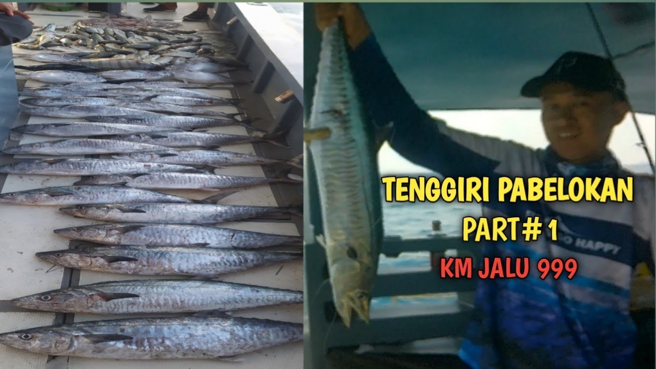 MANCING TENGGIRI DI PABELOKAN‼️TENGGIRINYA GANAS-GANAS‼️PART#1 - YouTube