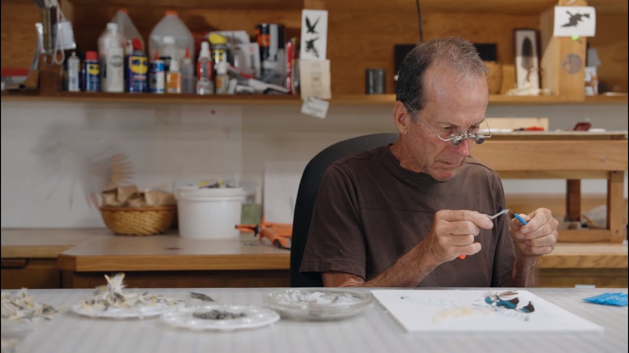 Conservationist Chris Maynard's intricate avian art - YouTube