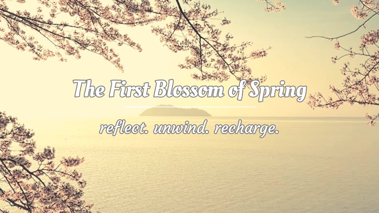 30 Minutes of Relaxing Piano Solos (Spring) The First Blossom of Spring ...