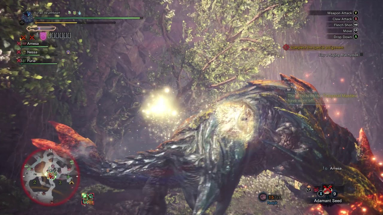 Raging Brachy and Furious Rajang (Avran) - YouTube