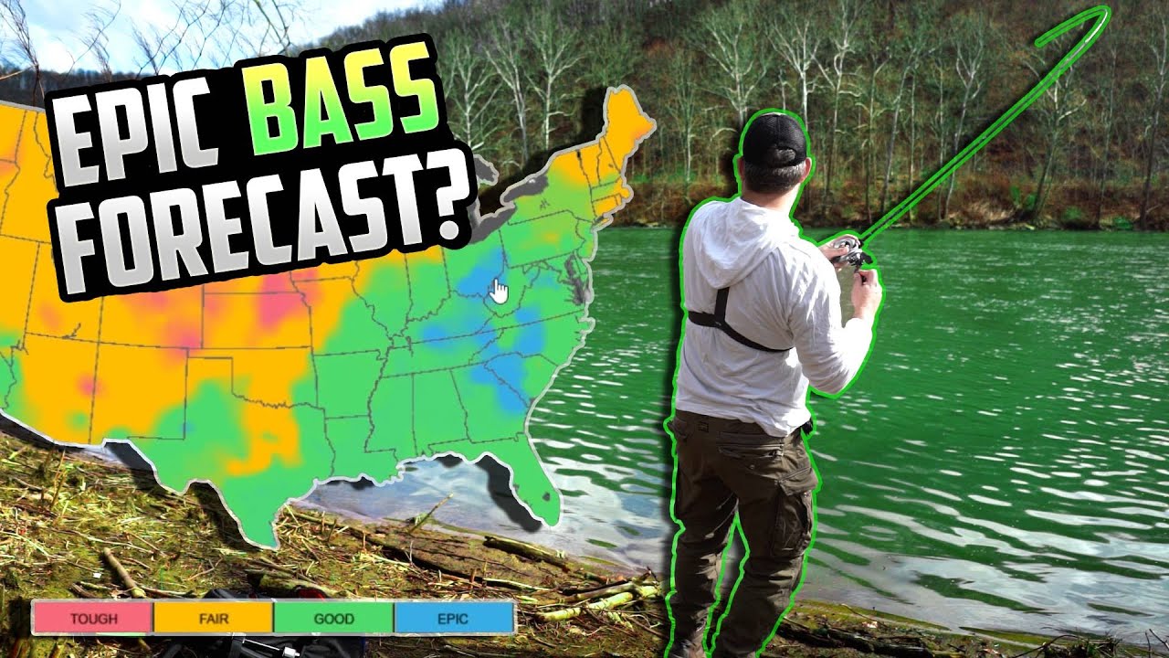 The Bass Forecast Made Me Do It.... - YouTube