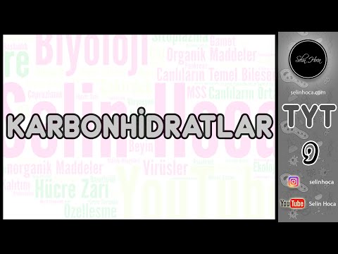 3) Karbonhidratlar