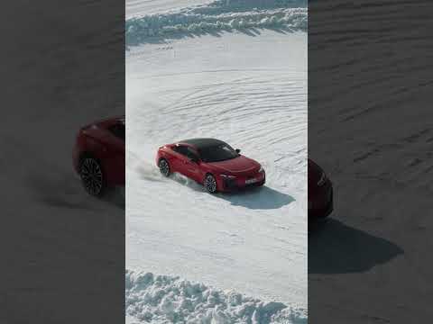 Spotted: quattro in its natural habitat. ​