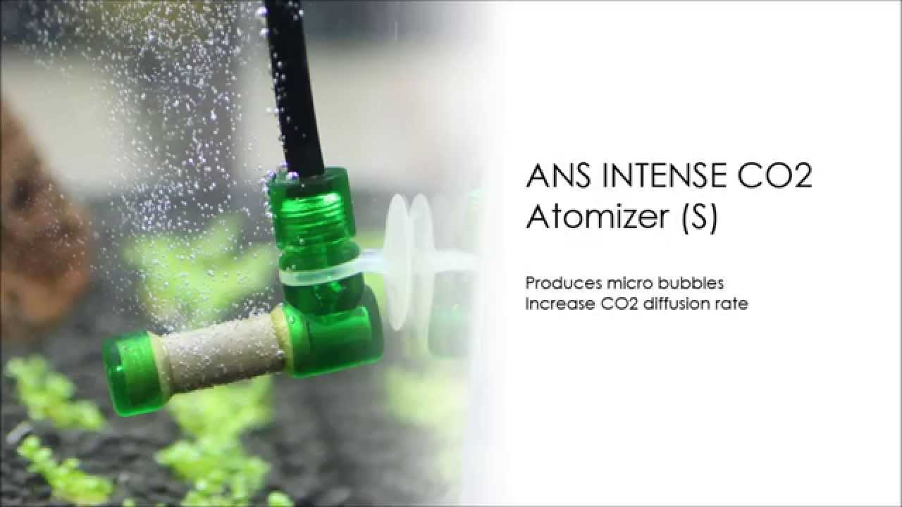 ANS Intense Co2 Atomizer - YouTube
