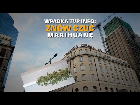 Wpadka TVP Info: znów czuć marihuanę
