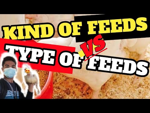 KIND OF FEEDS VS. TYPES OF FEEDS + SYESTEM OF FEEDING - YouTube