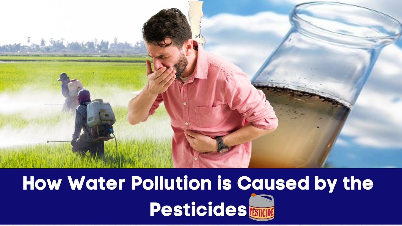 How Water Pollution Is Caused By The Pesticides - YouTube