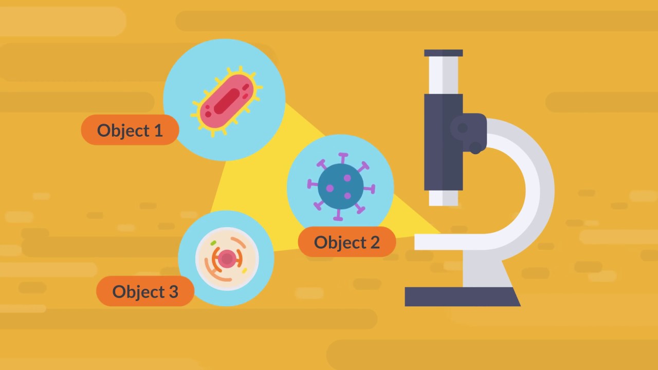 Random Examples - Choose a Style - YouTube