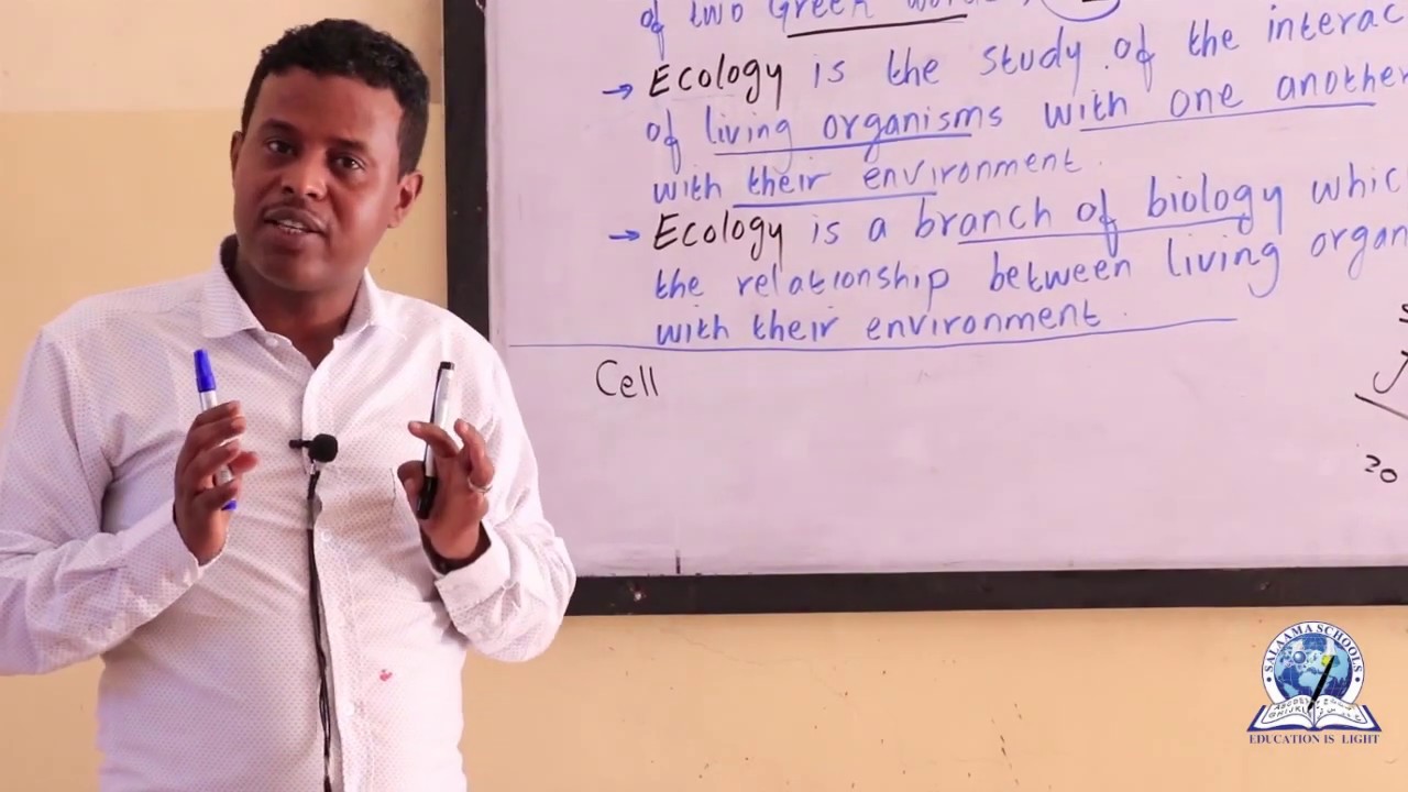 Form 3 / Biology / Chapter 3 / ECOLOGY AND ECOSYSTEM - YouTube