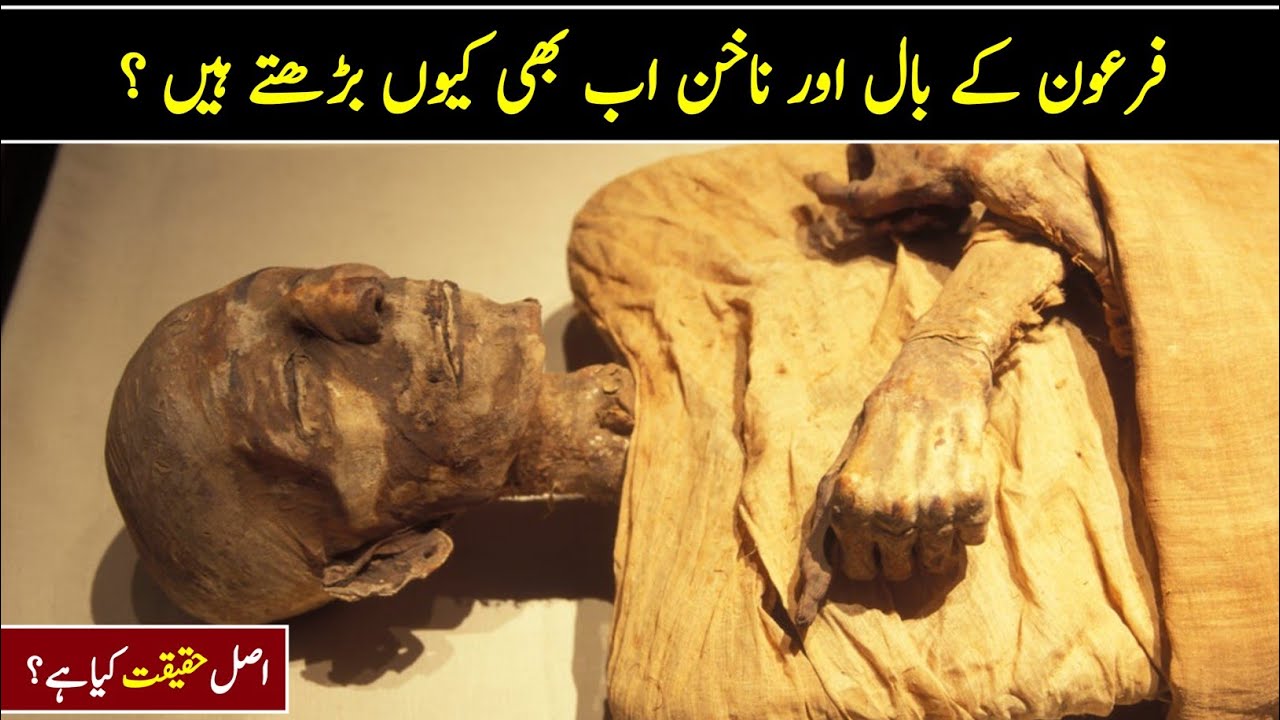 Why Is Pharaoh's Hair and Nails Still Growing ? | Unbelievable Facts ...