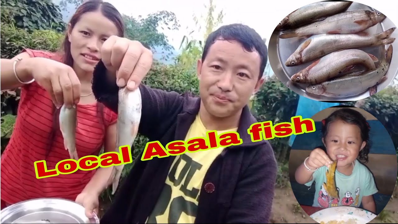 Local organic Asala fish best test having food. @SakilaRai52 - YouTube