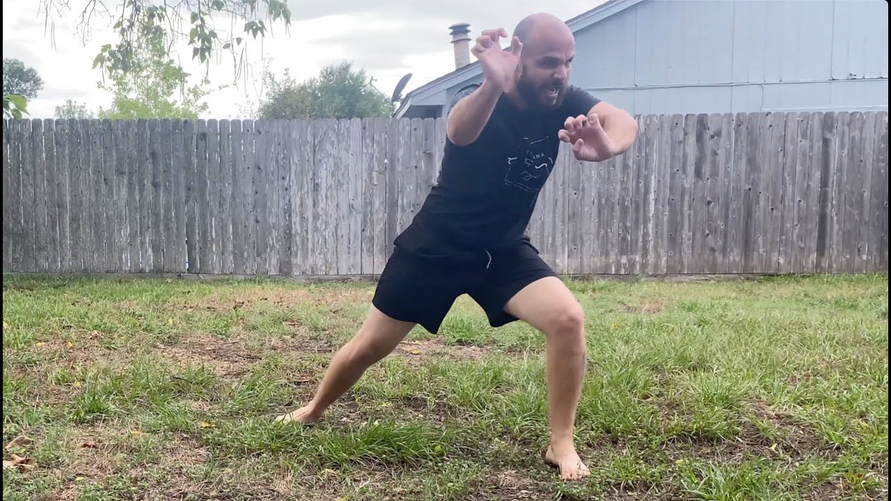 💥 Tiger Crane / Drunken Boxing / 7 Star Meteor Fist: “Fu Hok Sheung Yin ...