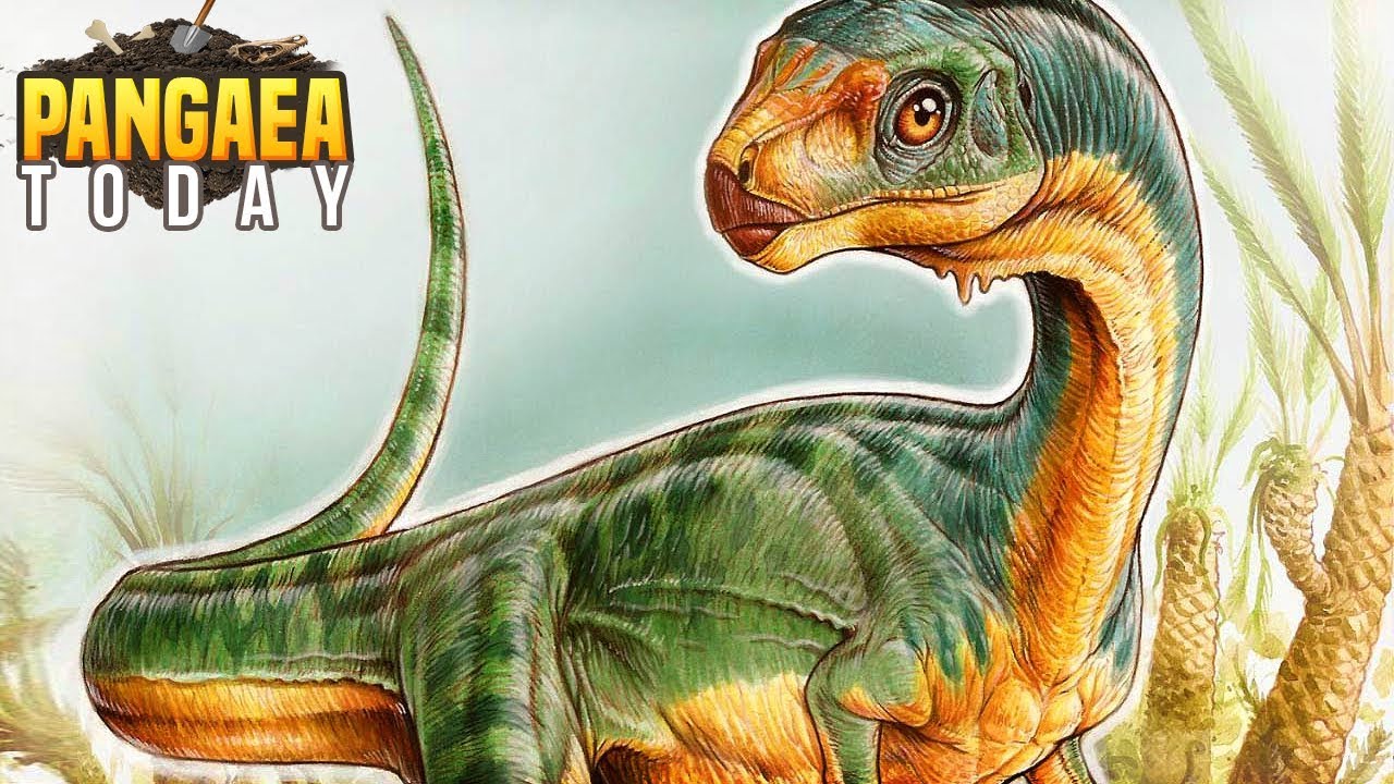Dinosaurs 'Missing Link' Discovered? - YouTube