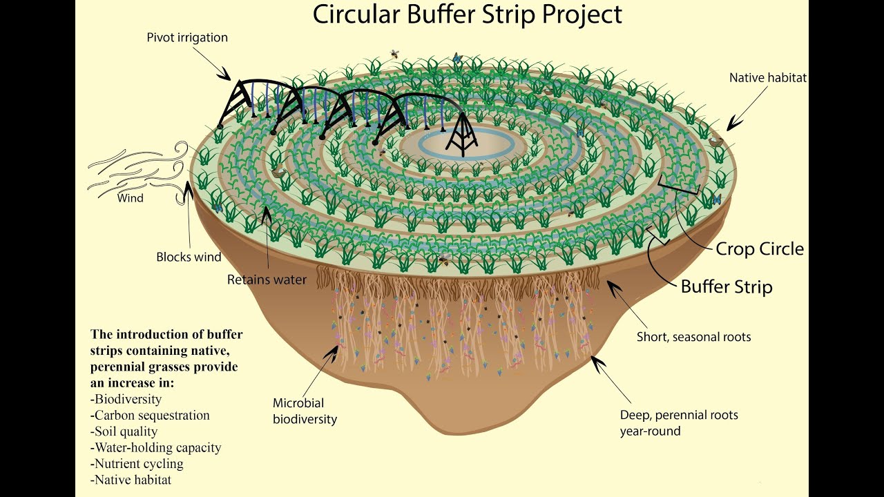 Circular Grass Buffer Strips (Brief) - YouTube