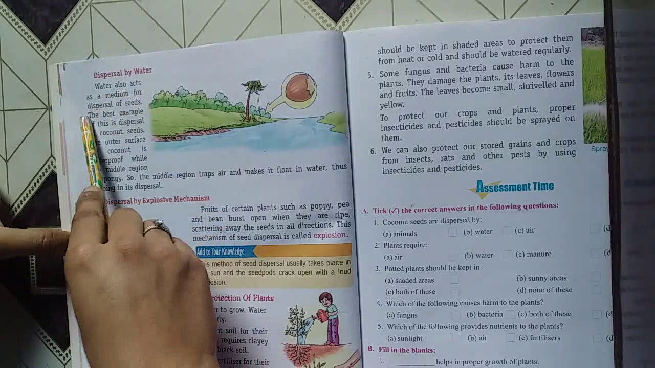 class 4th science Chapter 2 part 2 - YouTube