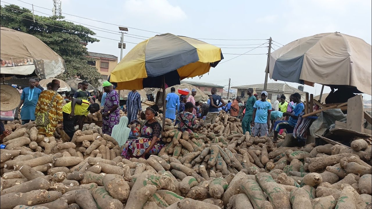 MARKET DAY IN FARMERS YAM MARKET | LAGOS NIGERIA | UNEDITED MARKET VLOG ...