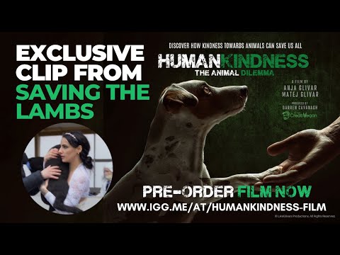 Humankindness - The Animal Dilemma - EXCLUSIVE CLIP - 'SAVING THE LAMBS ...