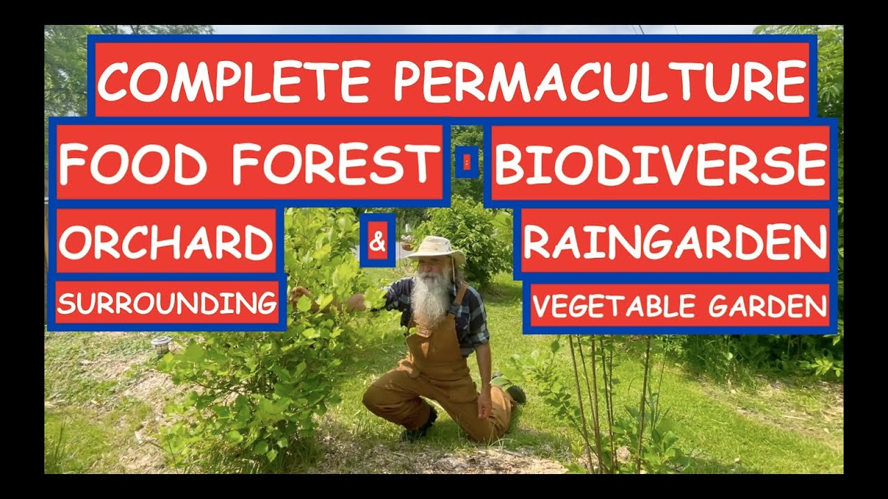 PERMACULTURE FOOD FOREST DESIGN - BIODIVERSE Orchard & Raingarden ...