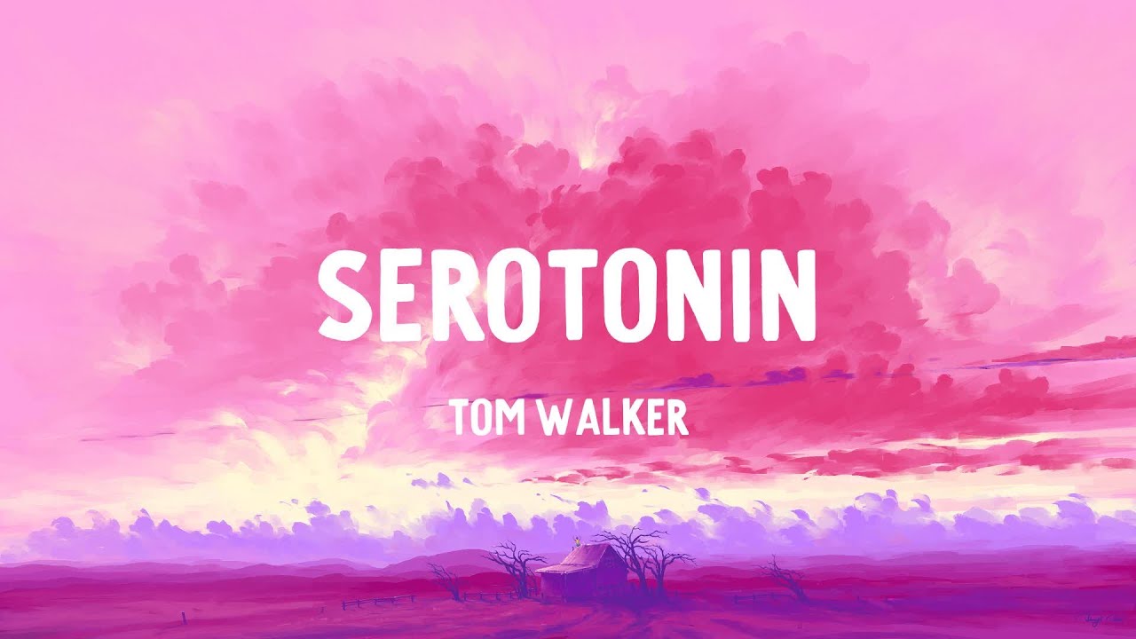 Tom Walker - Serotonin (Lyrics) - YouTube