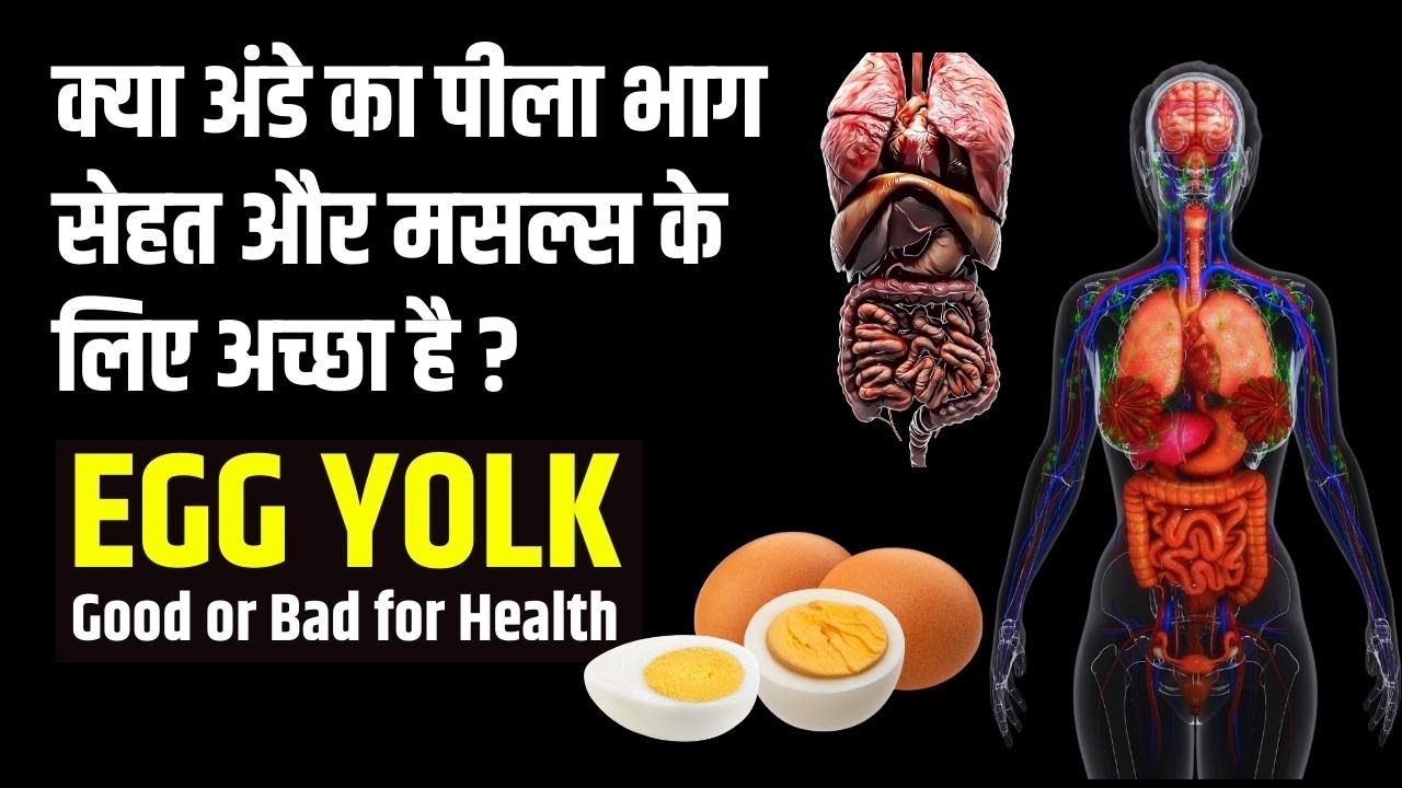 Egg Yolk Good or Bad for Health | अंडे का पीला भाग | Is Egg Yolk Good ...