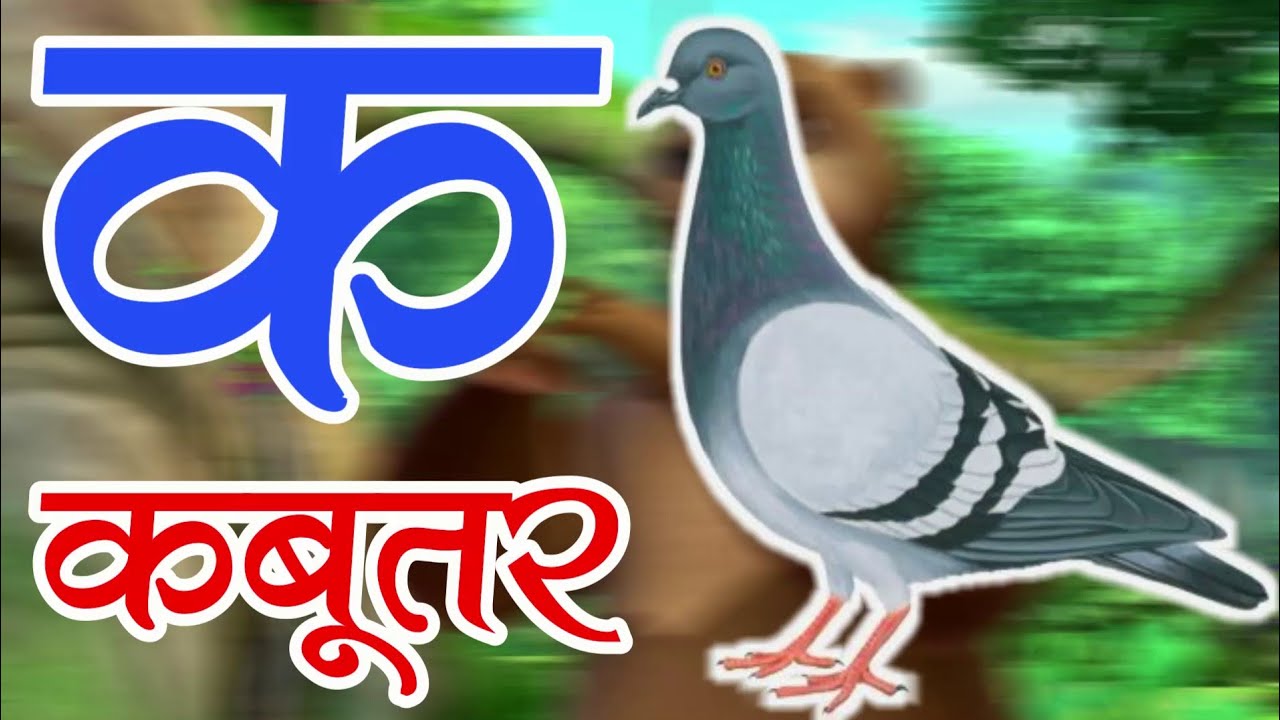 ka se kabutar, a se anar, k se kabutar kha se khargosh, क से कबूतर ...