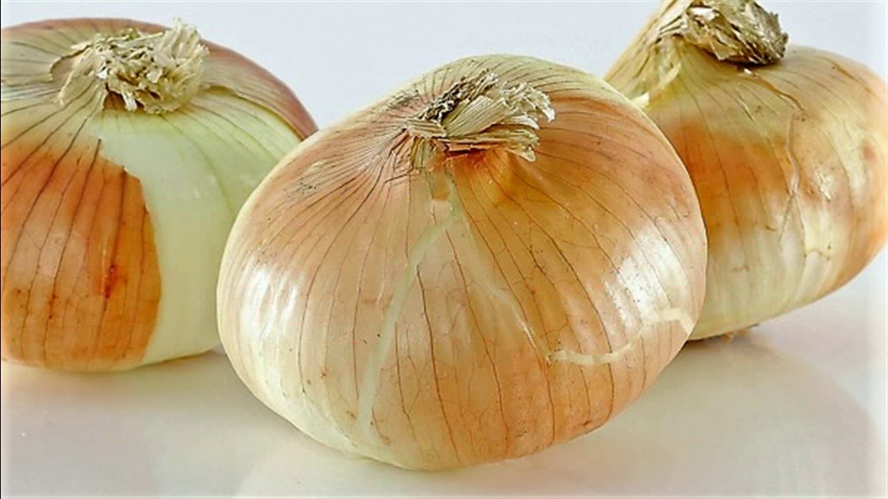 QEPA MREKULLIA E NATYRËS PËR JETEN - YouTube