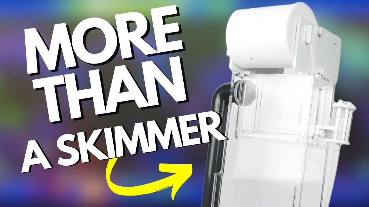 How A Self Cleaning Protein Skimmer Becomes SO Much MORE! - YouTube